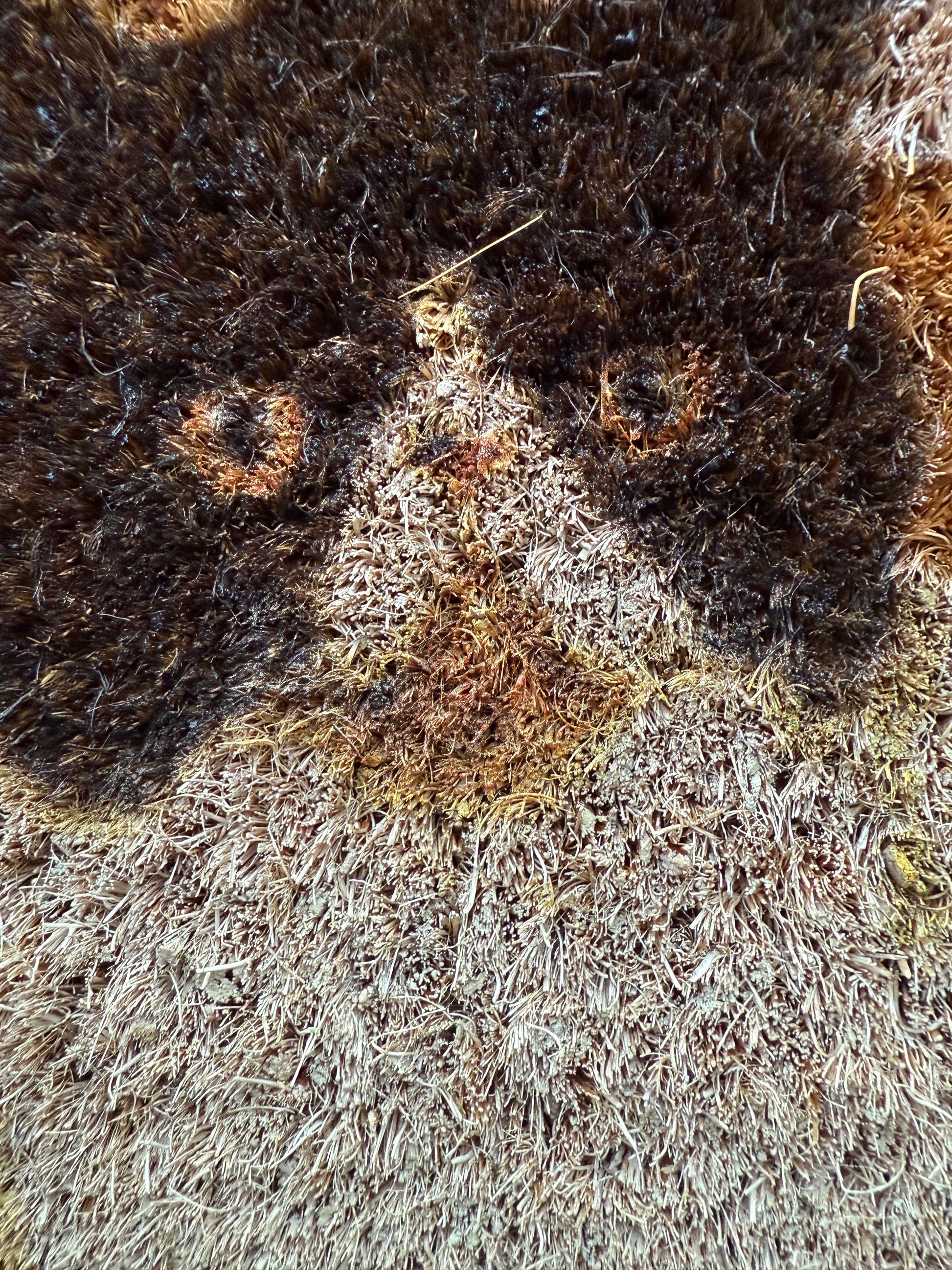 Cat coir door mat – atthemoment