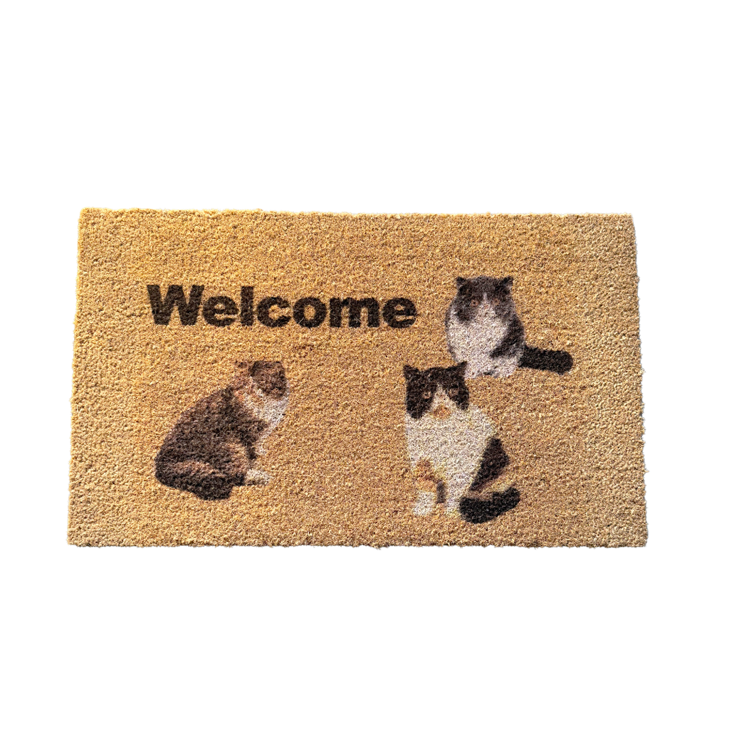 Cat coir door mat – atthemoment