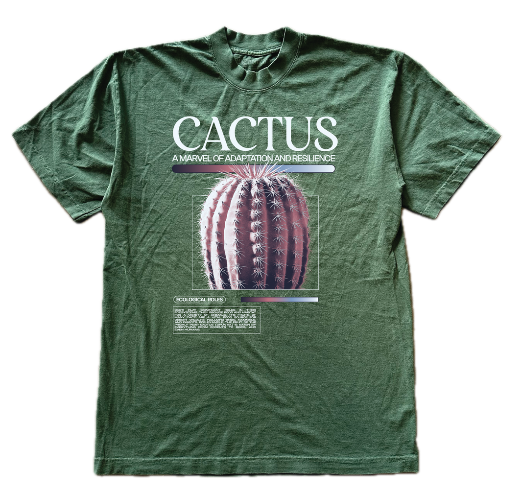 At The Moment – atthemoment